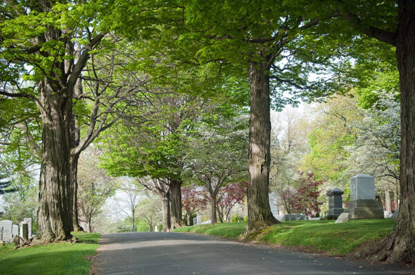 About Us - Maple Hill Cemetery Association